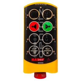 Repair Tele Radio remote control TG-T9-1